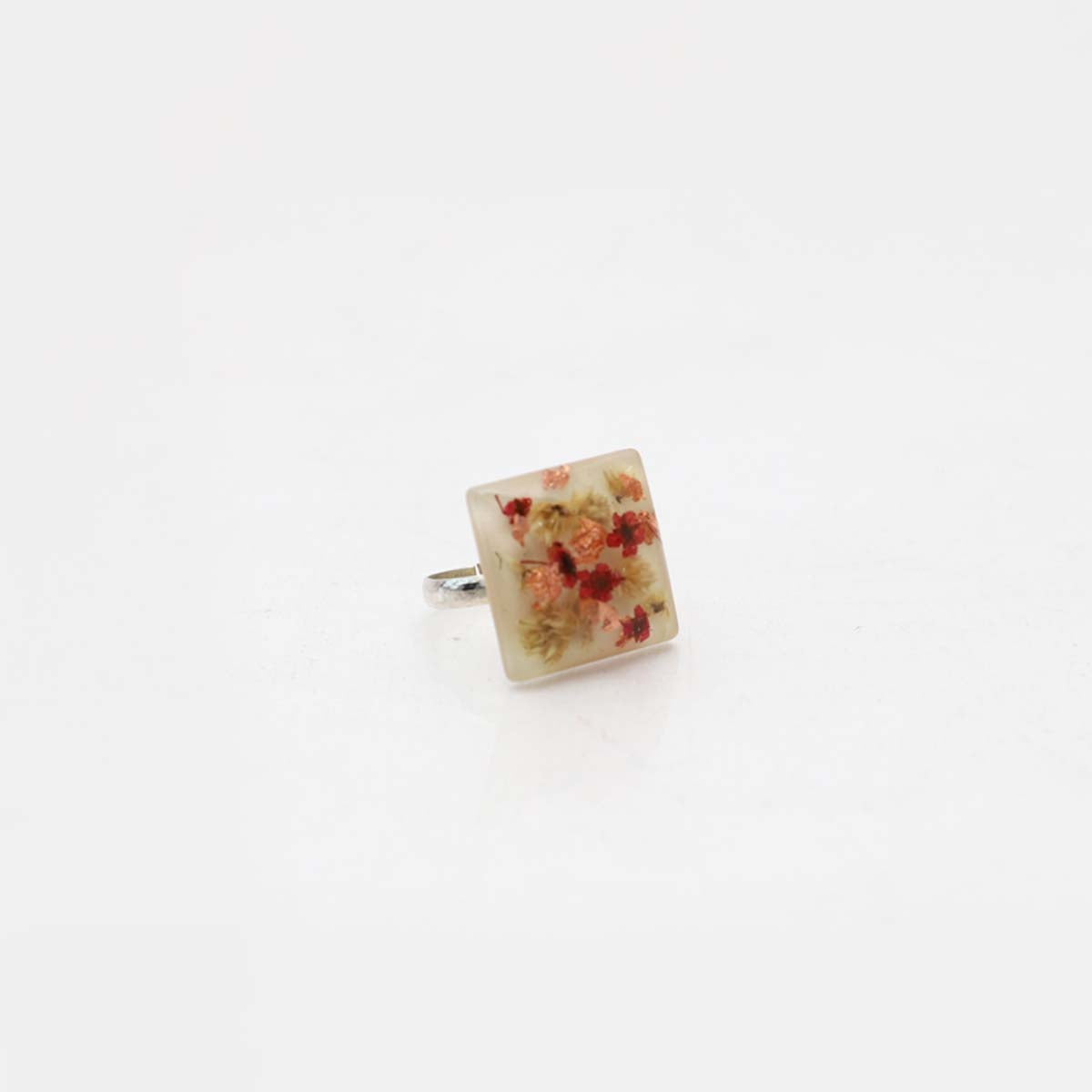 Poppy Ring – Who We Are
